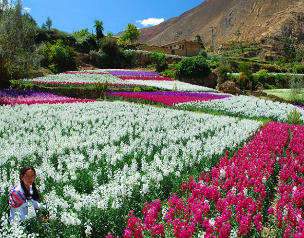 Atractivos Turísticos – UGEL – TARMA